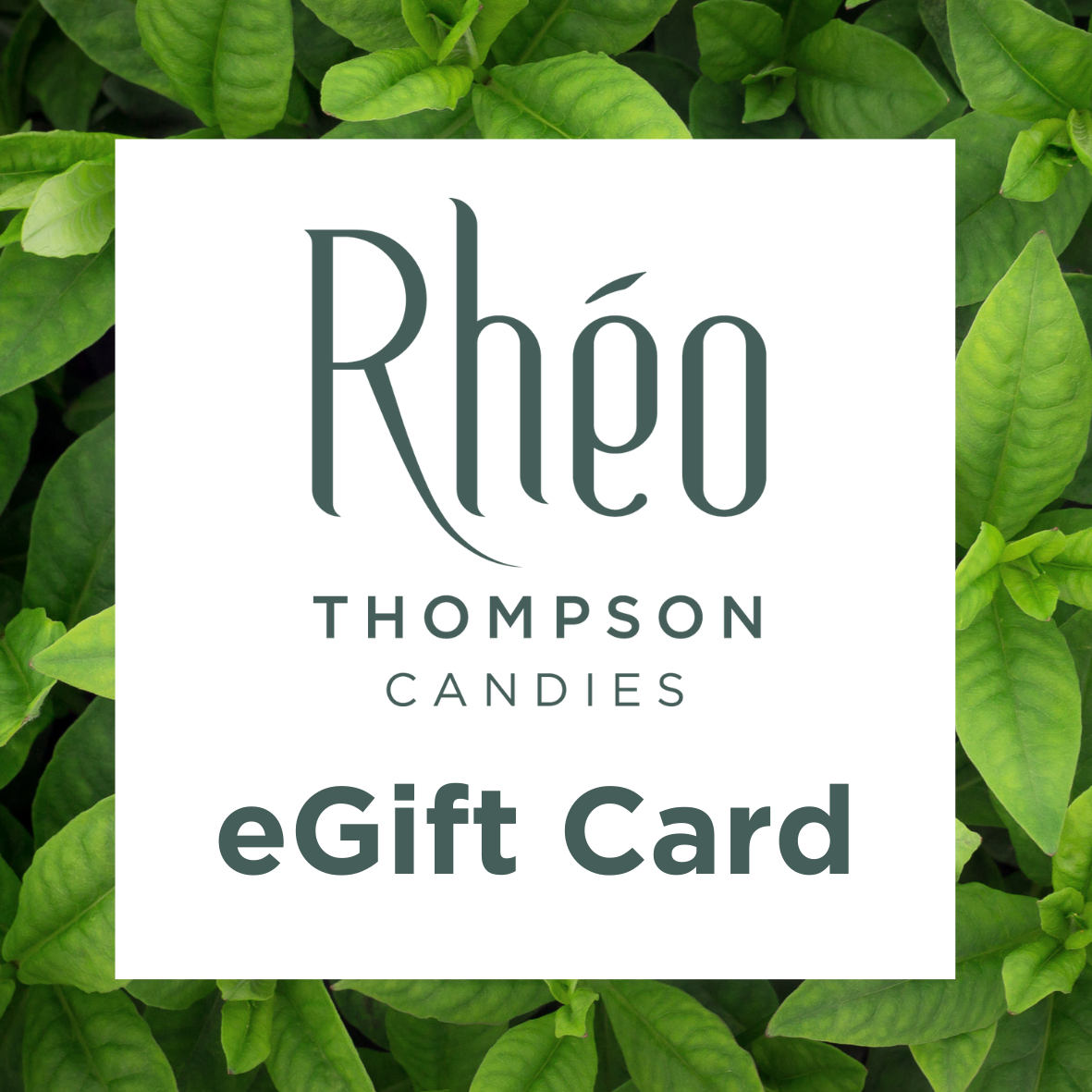 Hard Candies – Rhéo Thompson Candies Ltd.